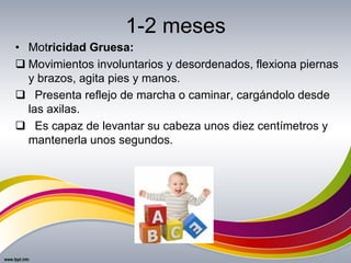 Desarrollo motriz | PDF