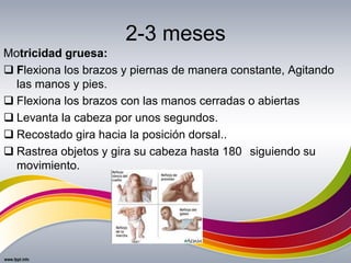 Desarrollo motriz | PDF
