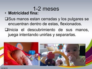 Desarrollo motriz | PDF