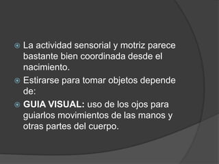 Desarrollo motriz en el niño | PPTX