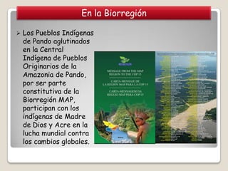 Desarrollo, políticas y pueblos indígenas de Pando, Bolivia. | PPTX
