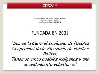 Desarrollo, políticas y pueblos indígenas de Pando, Bolivia. | PPTX