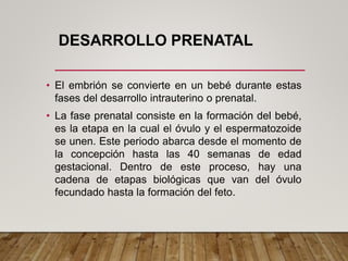 Desarrollo prenatal.pptx