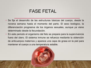 Desarrollo prenatal.pptx