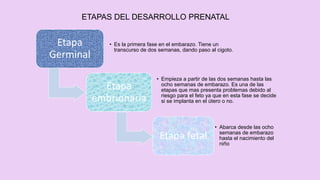 Desarrollo prenatal y latancia | PPTX