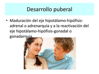 Desarrollo puberal | PPTX