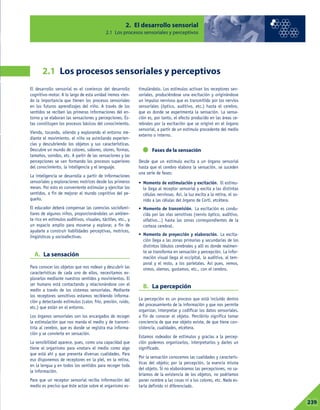 Desarrollo sensorial | PDF
