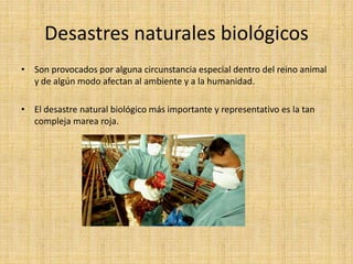 Los desastres Naturales. | PPTX