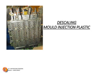 DESCALING MOULD INJECTION PLASTIC | PPT