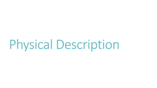 Descriptive Cataloging for Special Collections, University of Miami ...