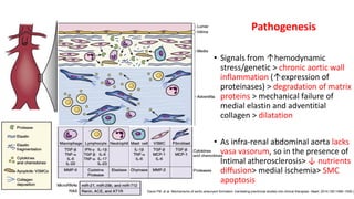 Descending aortic aneurysm | PDF