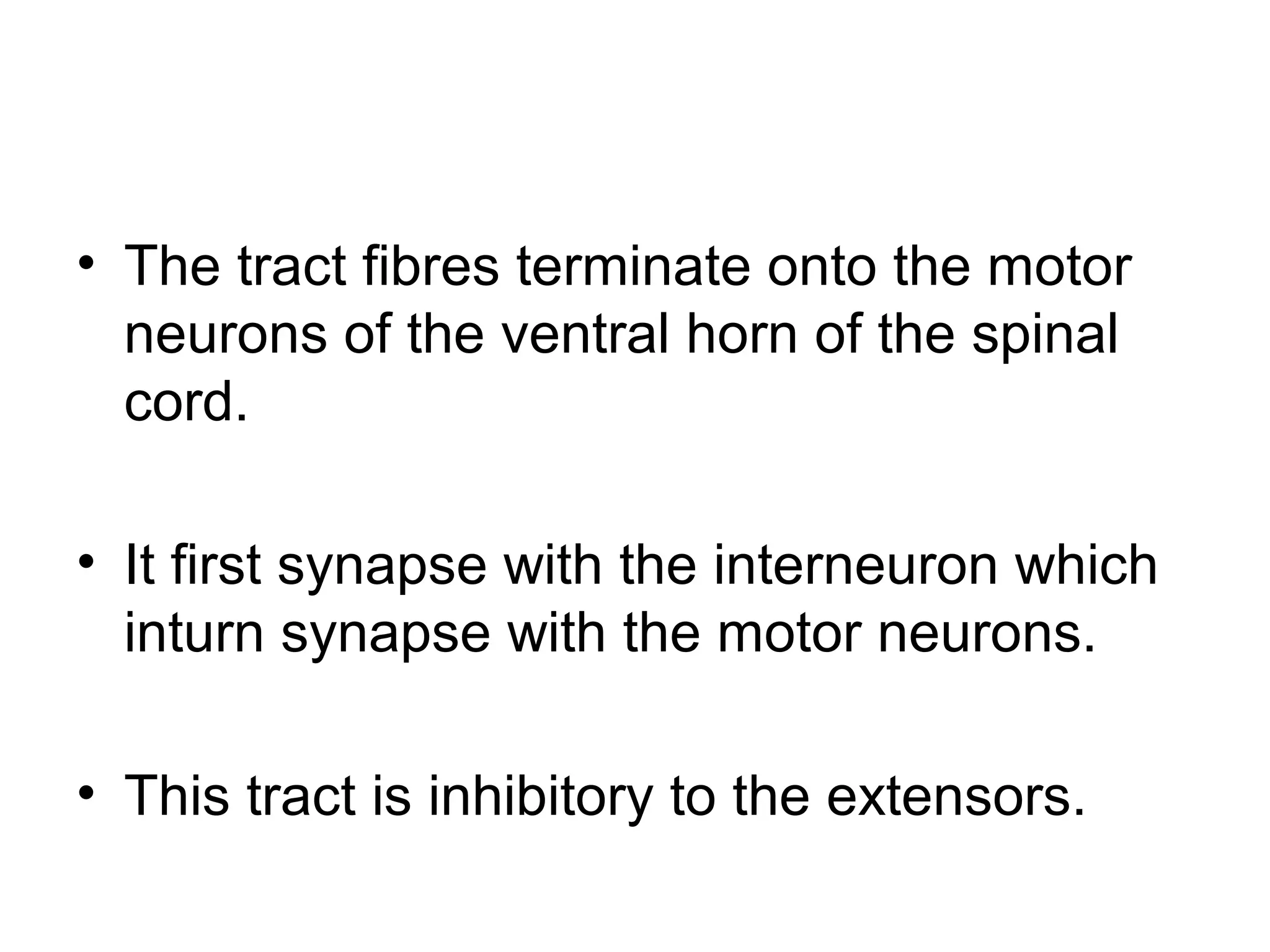 Descending motor pathways | PPT
