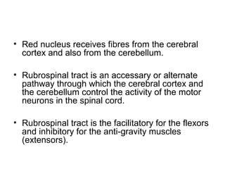 Descending motor pathways | PPT