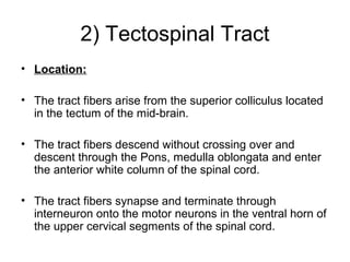 Descending motor pathways | PPT