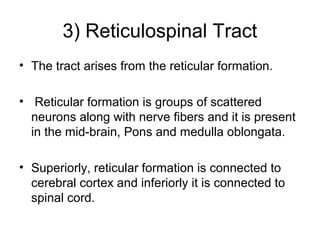 Descending motor pathways | PPT