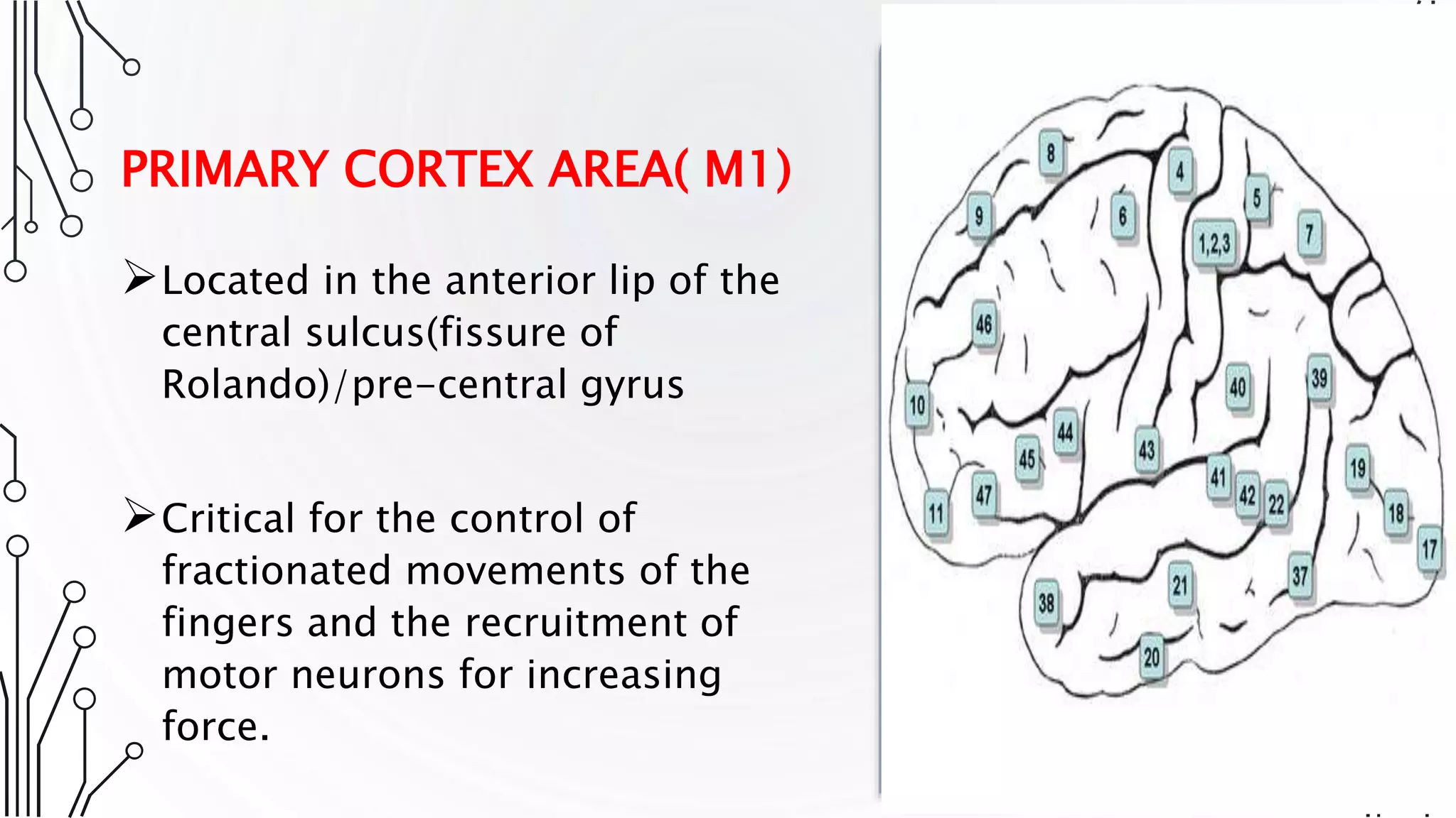 DESCENDING MOTOR TRACTs.pptx