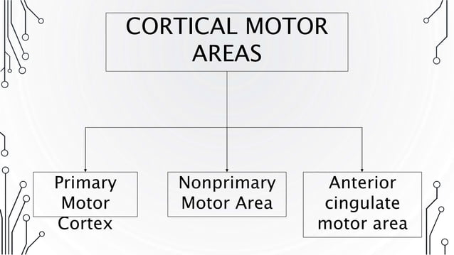 DESCENDING MOTOR TRACTs.pptx