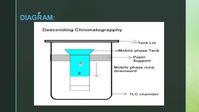 Descending Paper Chromatography.pdf