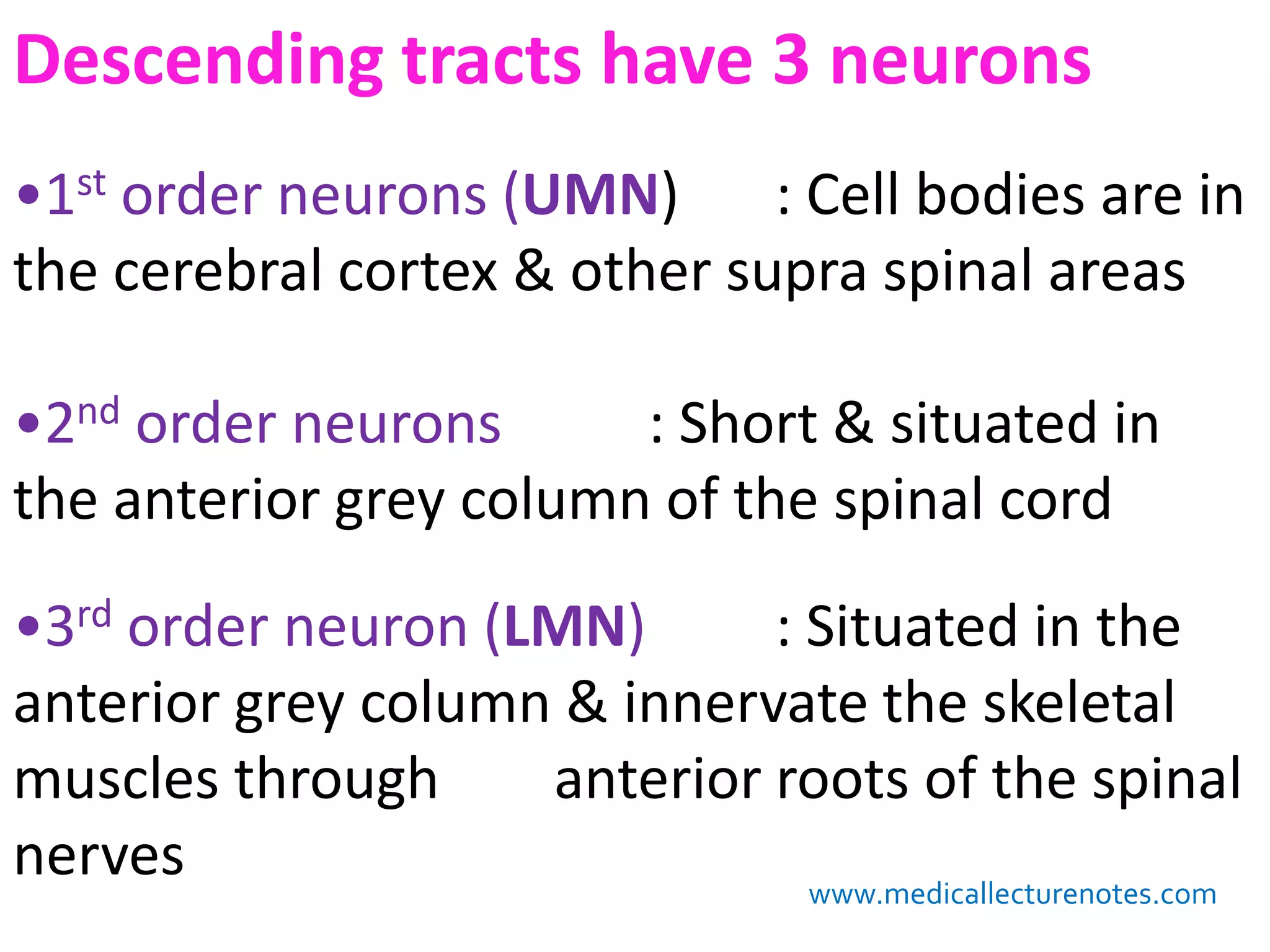 Descending tract | PPTX