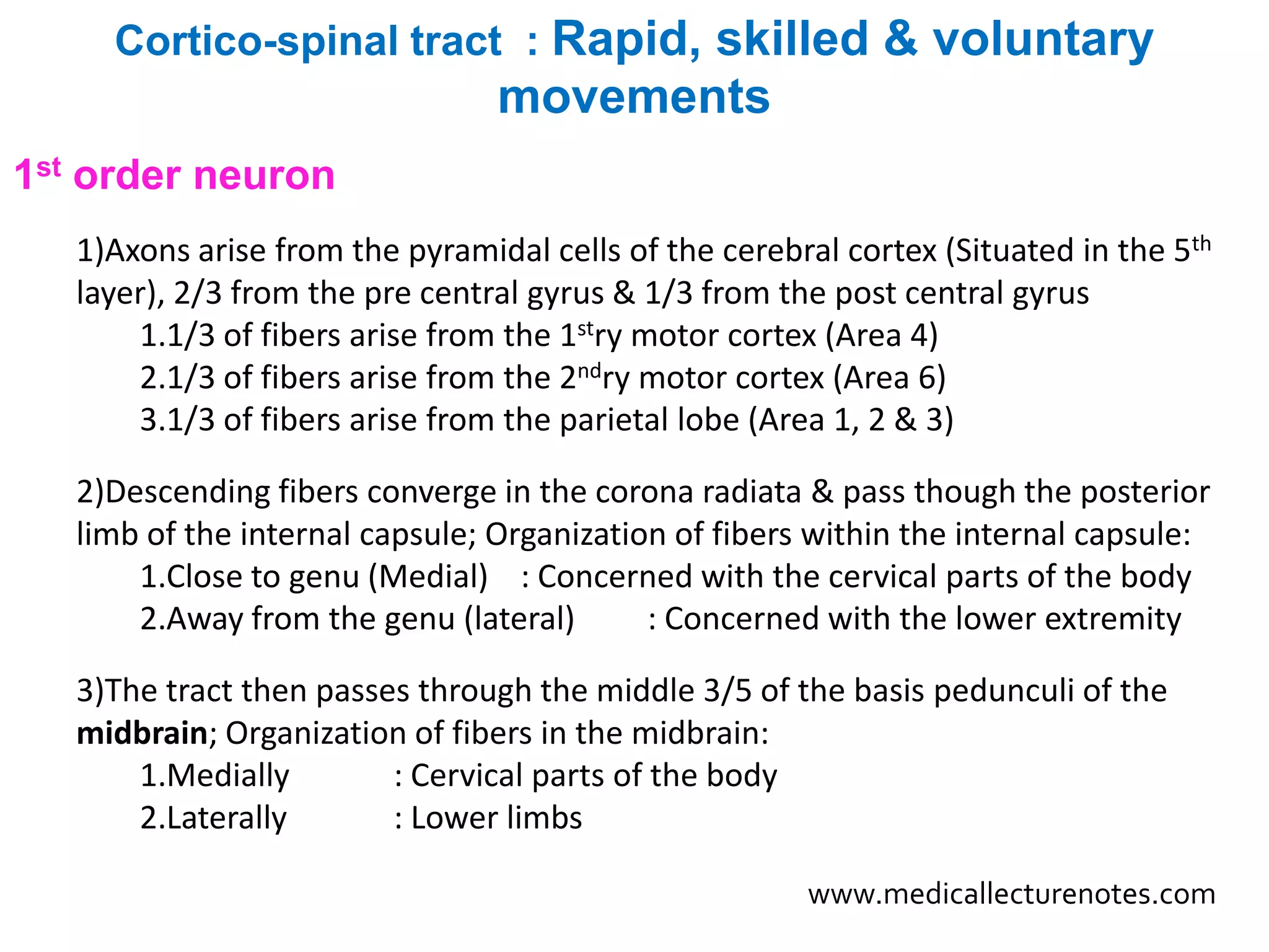 Descending tract | PPTX