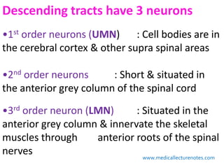 Descending tract | PPTX