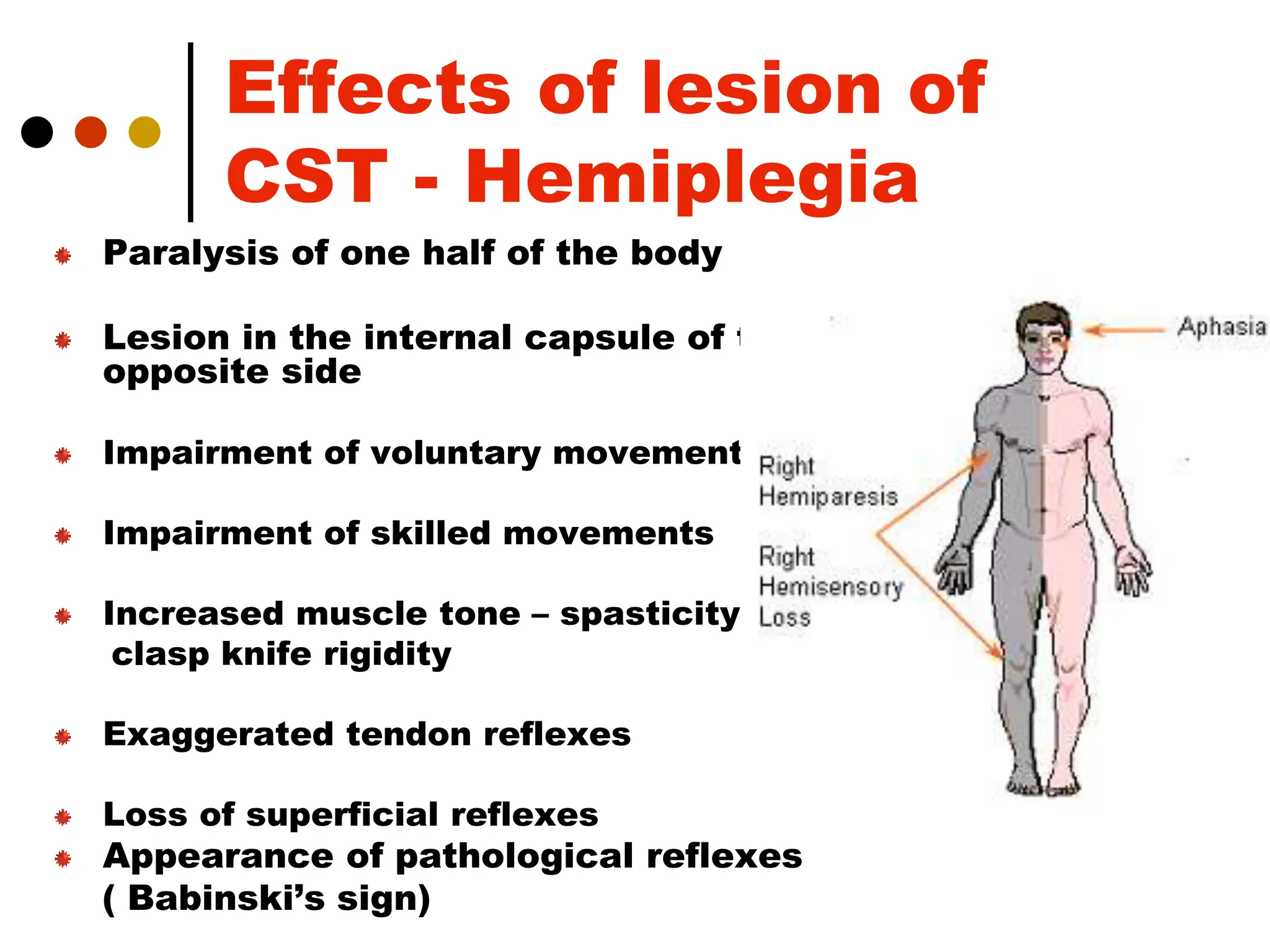 Descending tracts Physiology Central nervous | PPTX