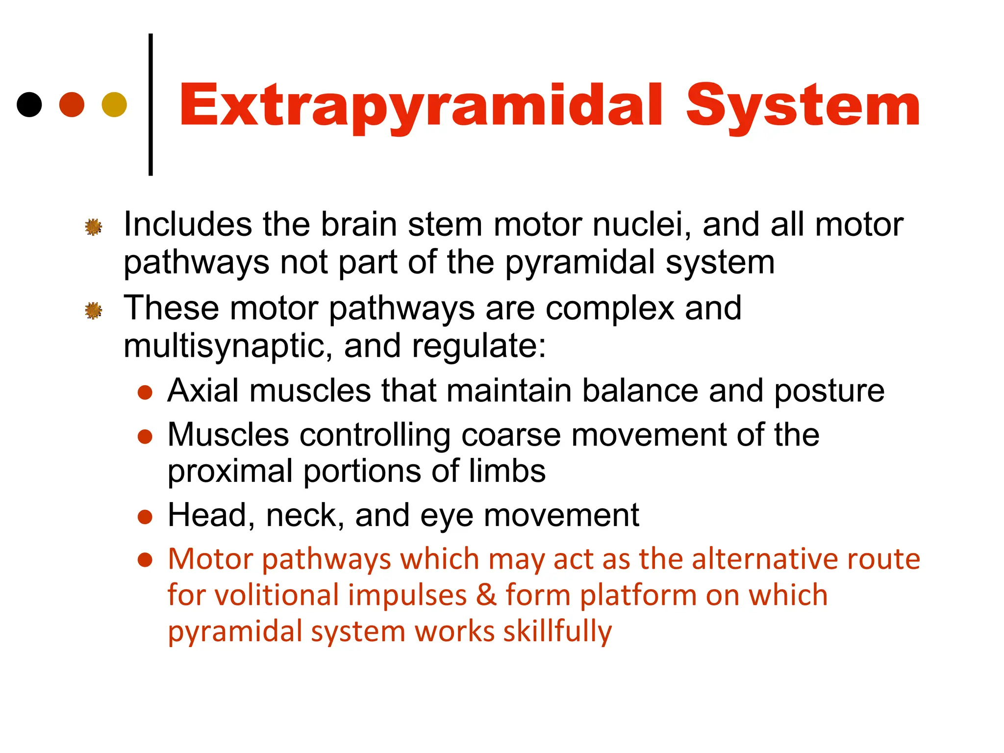 Descending tracts Physiology Central nervous | PPTX | Death, Injury, or ...