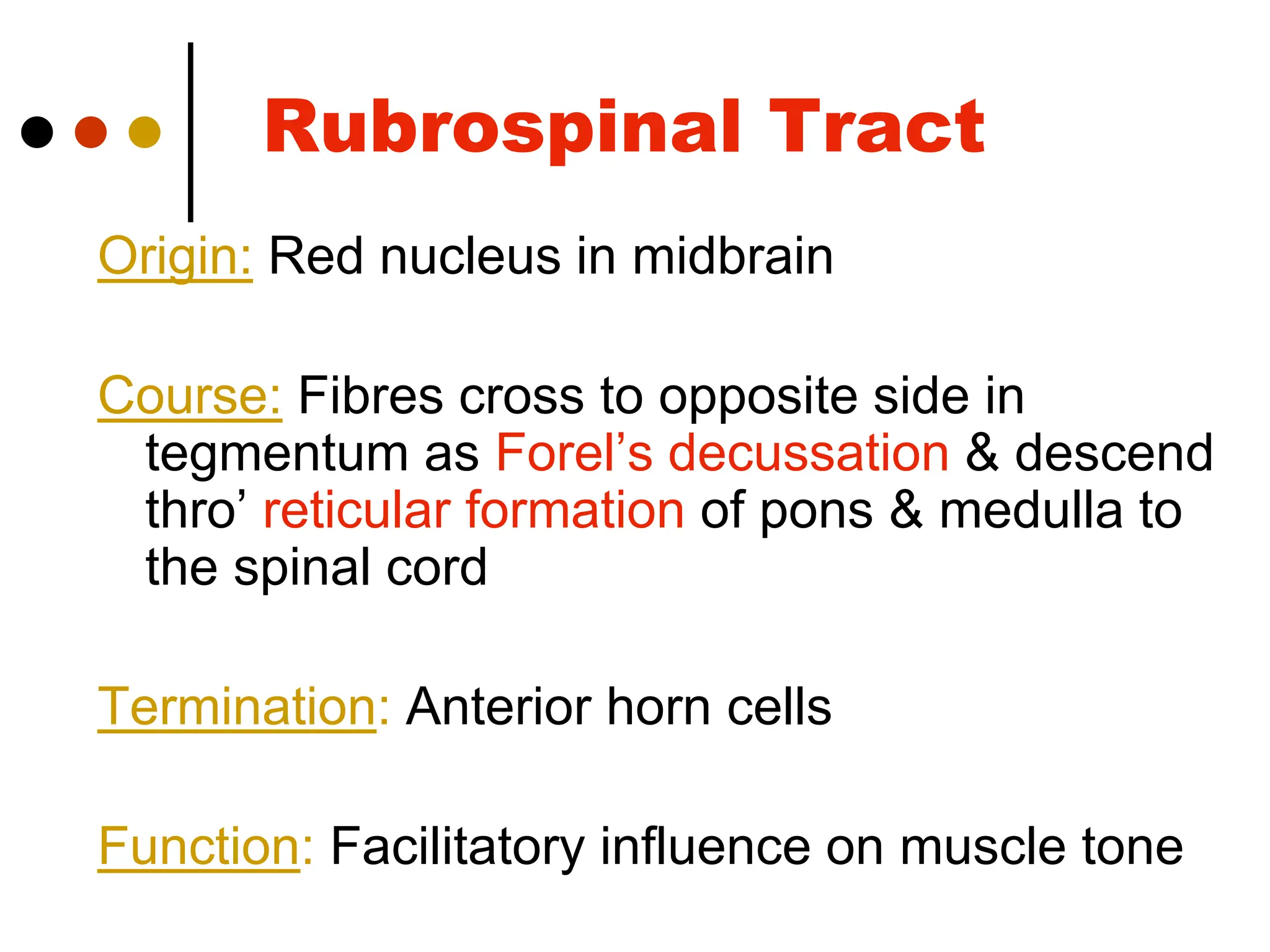 Descending tracts Physiology Central nervous | PPTX