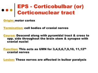 Descending tracts Physiology Central nervous | PPTX
