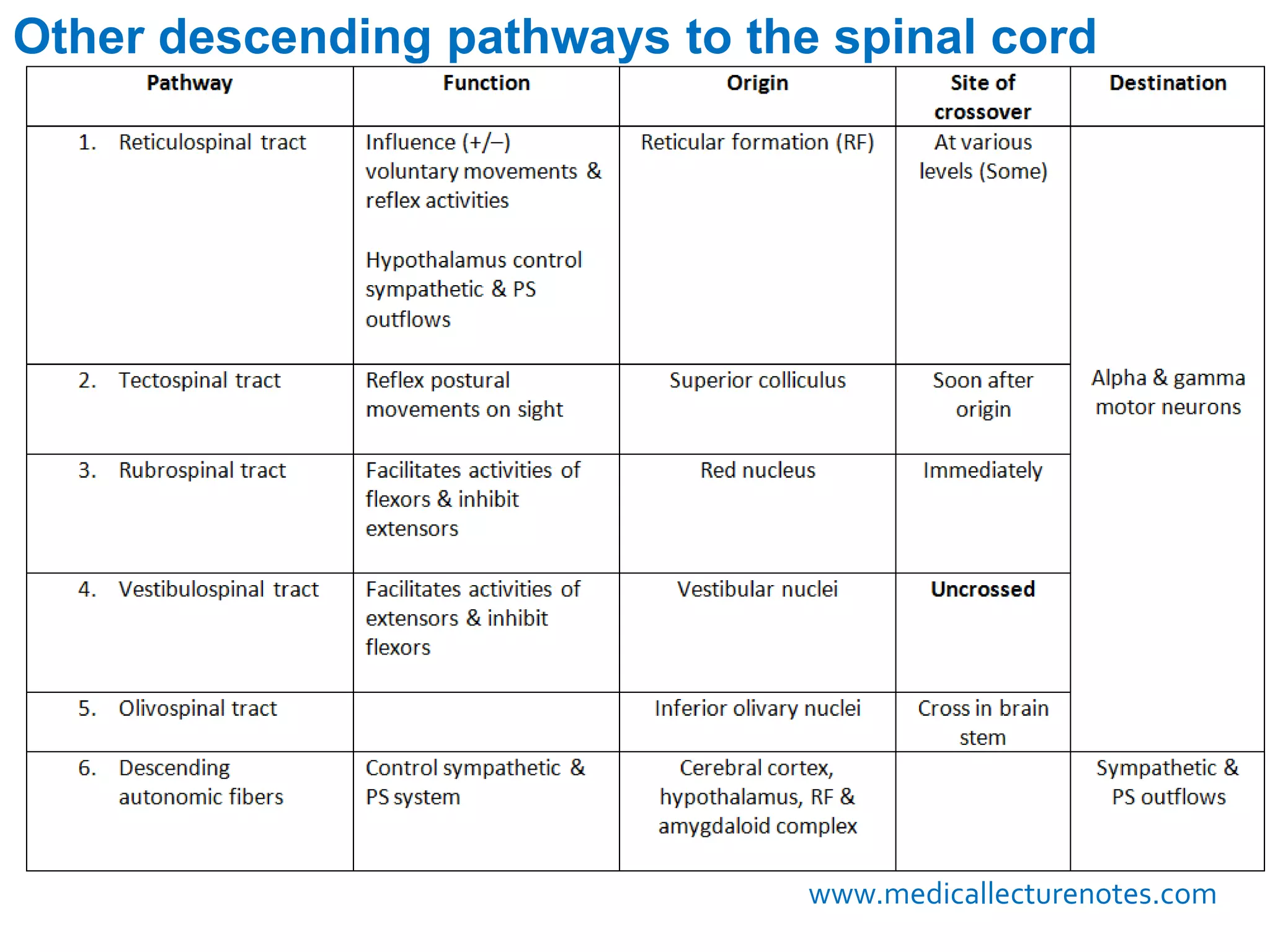 Descending tract 2 | PPTX