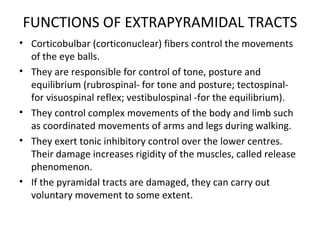 Descending tract diagram final | PPT
