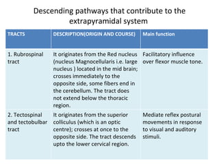Descending tract diagram final | PPT