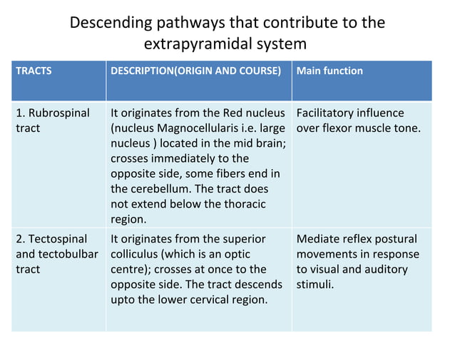 Descending tract diagram final | PPT