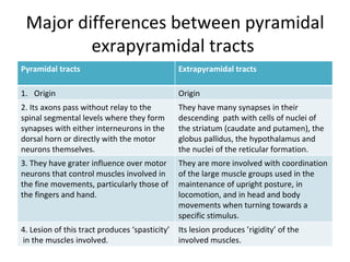 Descending tract diagram final | PPT