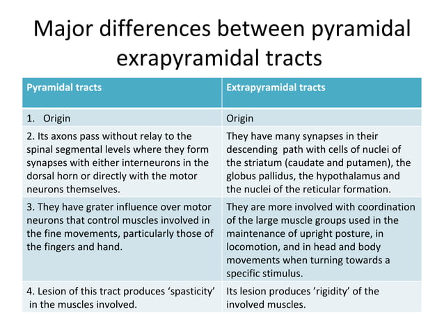 Descending tract diagram final | PPT