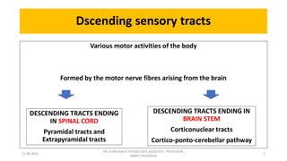 Descending tracts- Central Nervous System | PDF