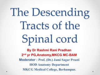 Descending tracts of spinal cord.pptx