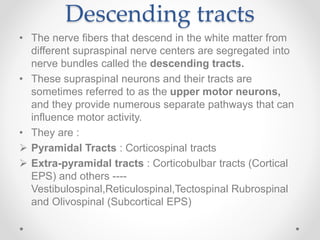 Descending tracts of spinal cord.pptx