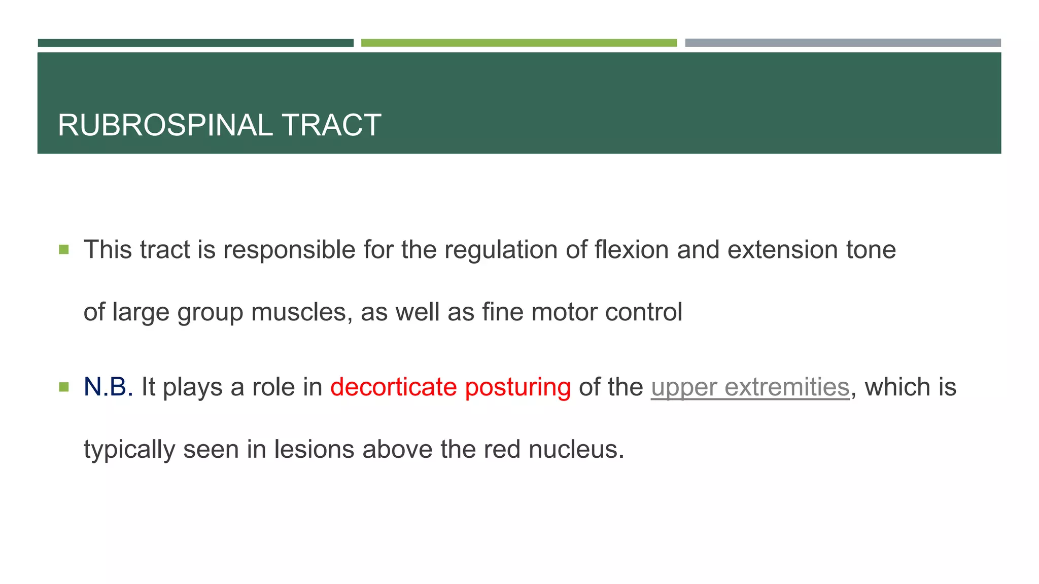 Descending Tracts of spinal cord.pptx
