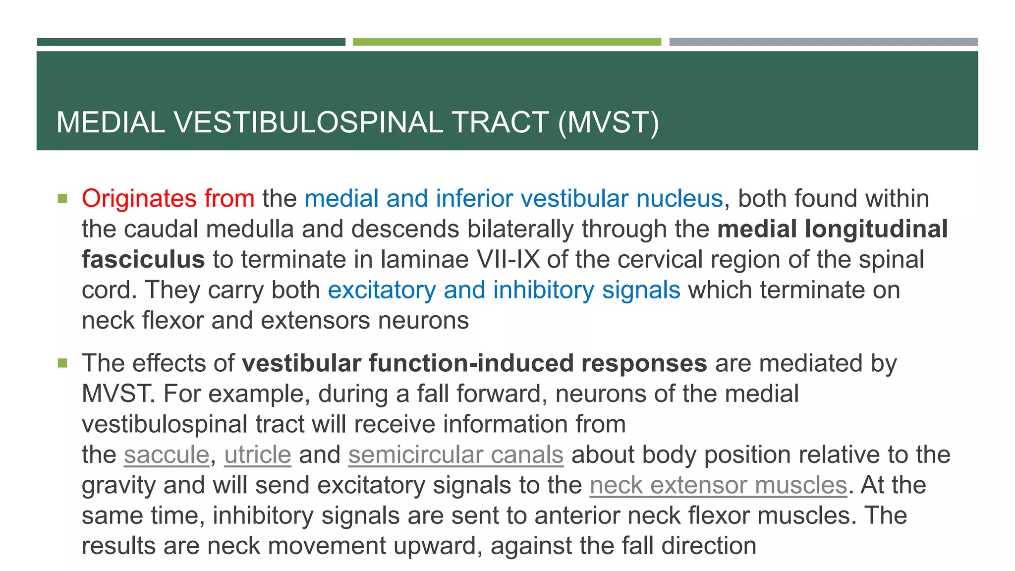 Descending Tracts of spinal cord.pptx