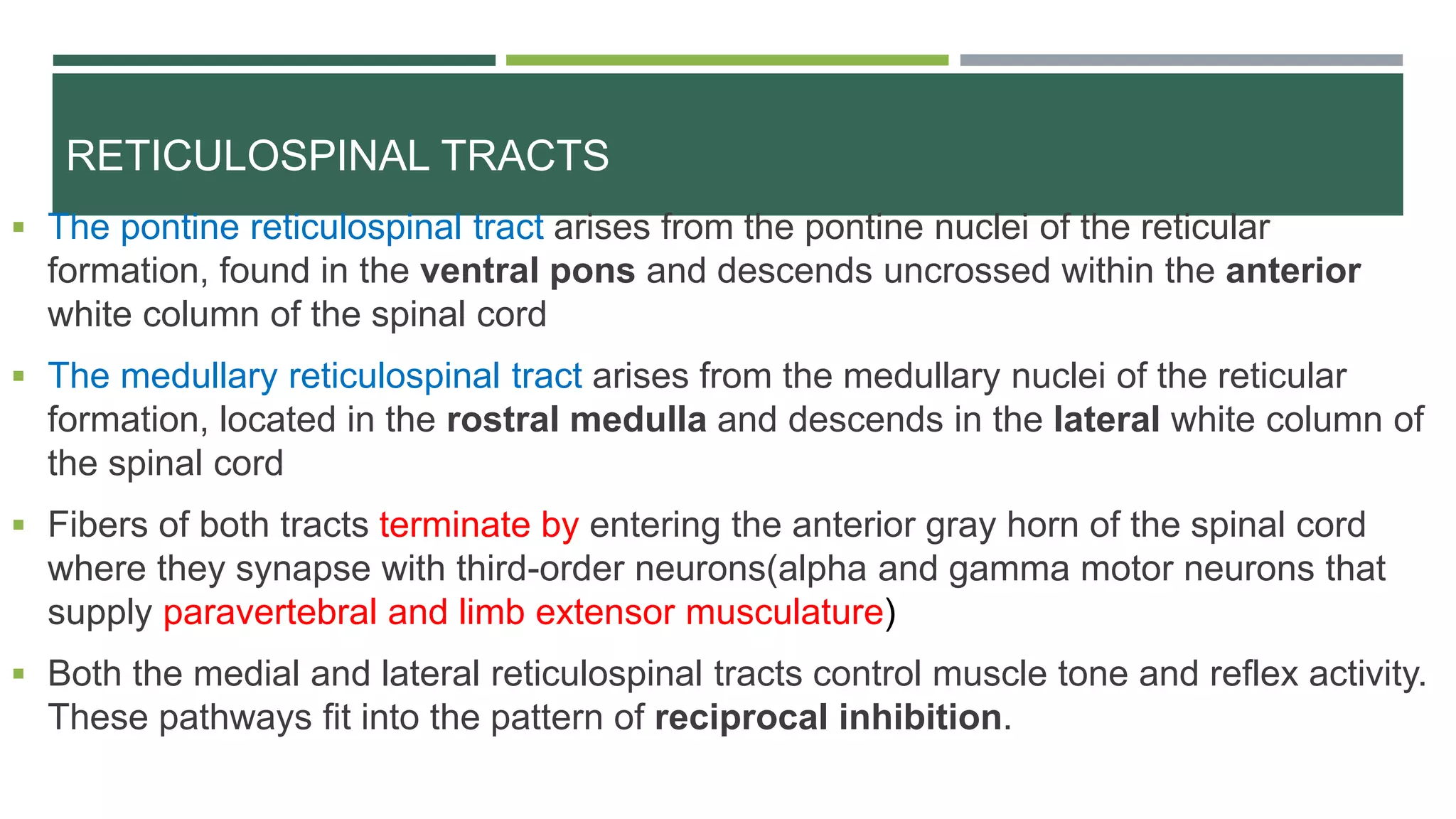 Descending Tracts of spinal cord.pptx
