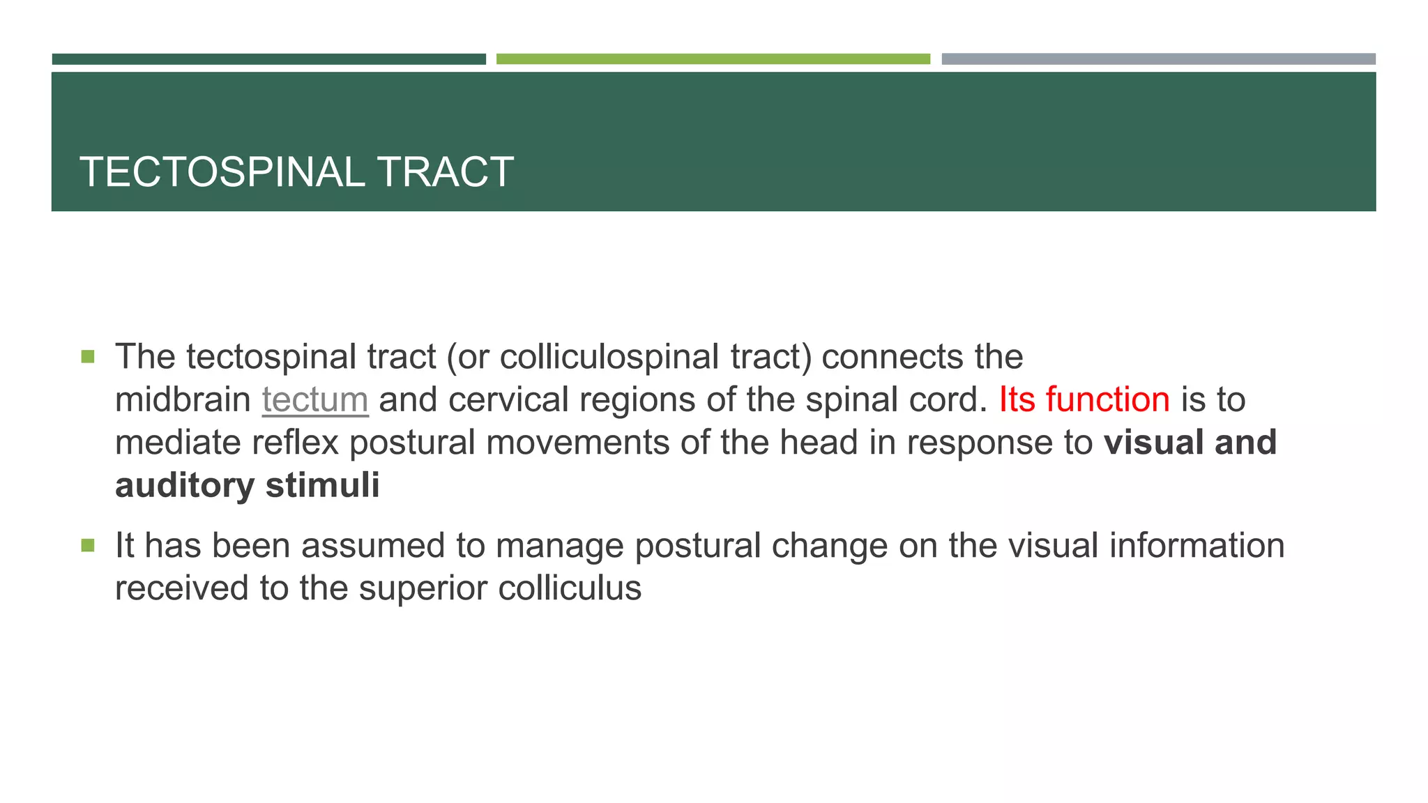 Descending Tracts of spinal cord.pptx