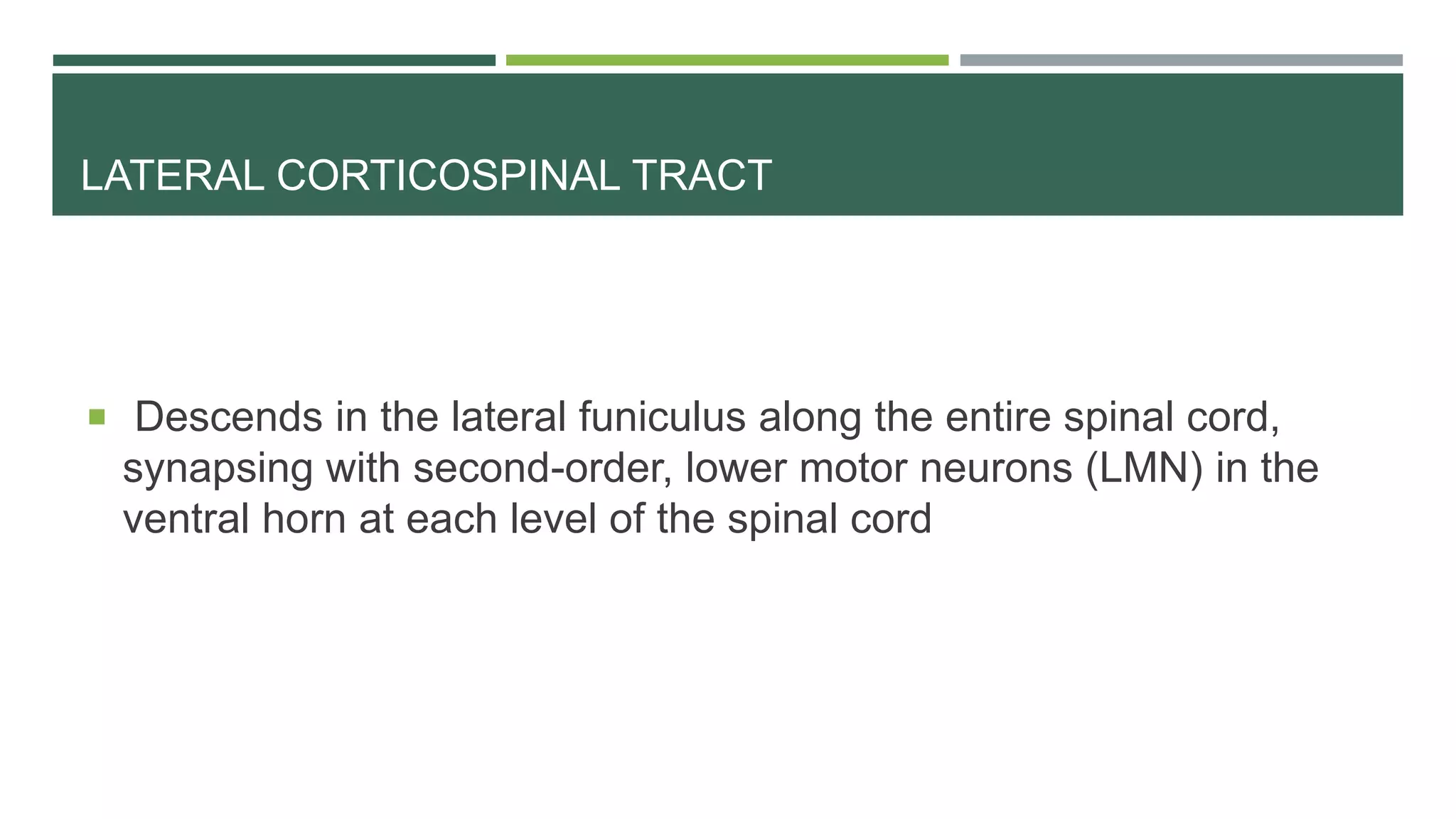 Descending Tracts of spinal cord.pptx
