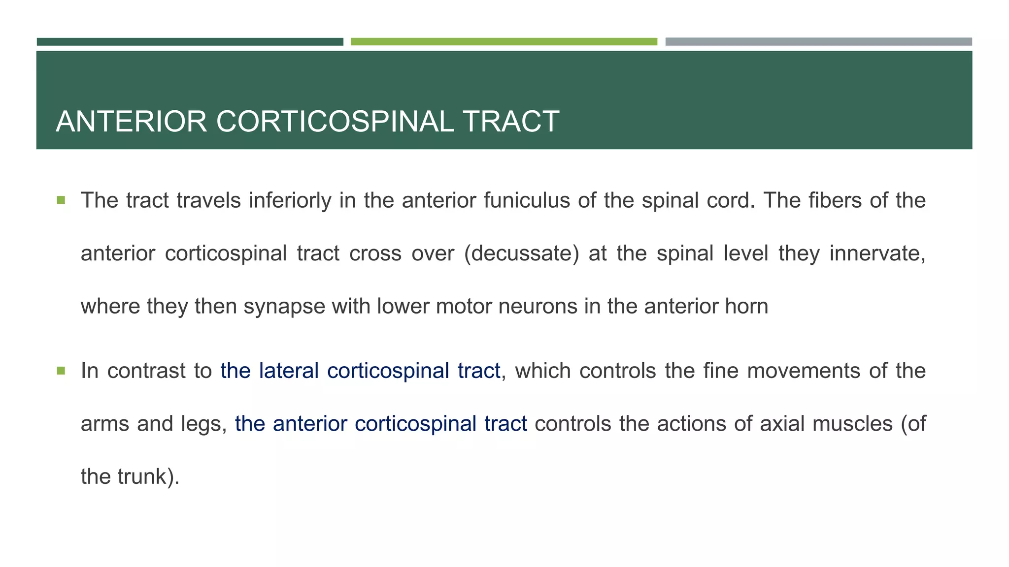Descending Tracts of spinal cord.pptx