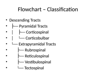 Descending_Tracts_PPT_Guyton_AKJain.pptx............ | PPTX