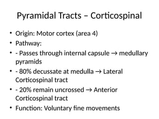 Descending_Tracts_PPT_Guyton_AKJain.pptx............ | PPTX