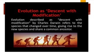 Descent with modification pptxnxxxx.pptx