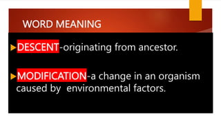 Descent with modification pptxnxxxx.pptx
