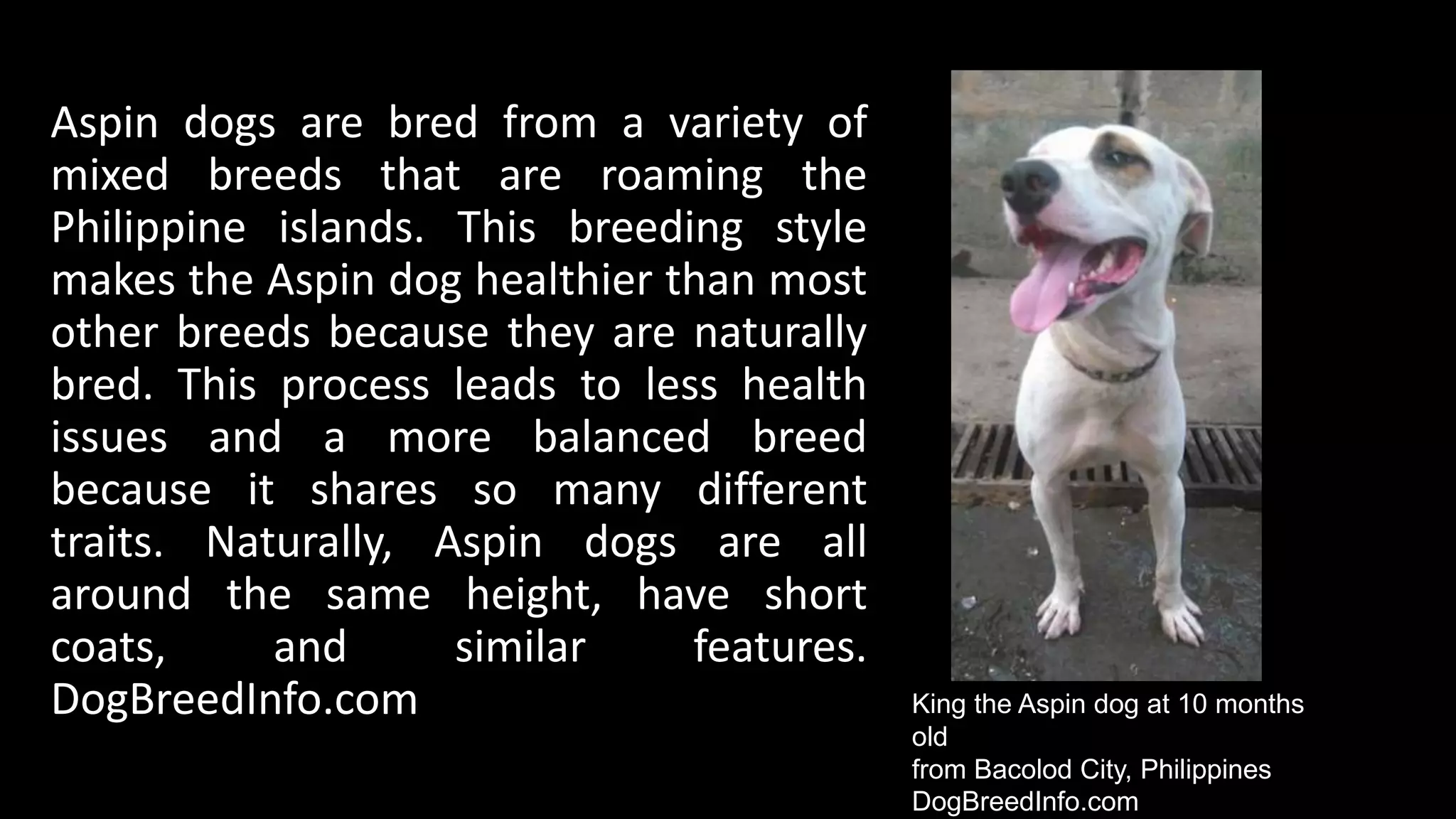 Descent with Modifications.pptx