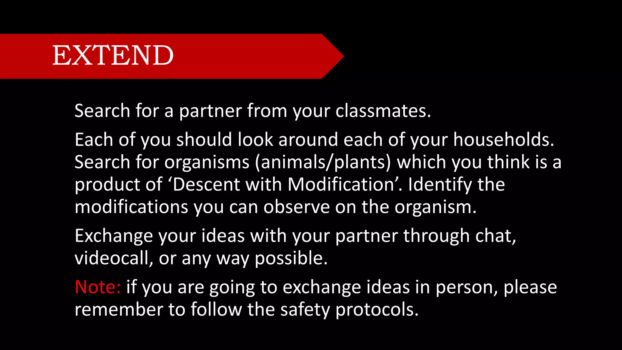Descent with Modifications.pptx